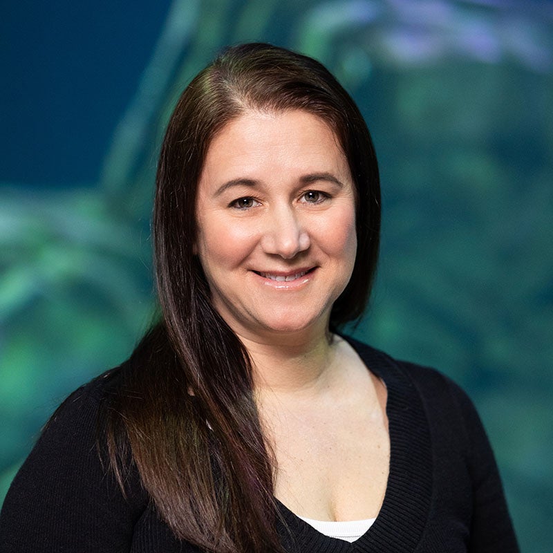 Common Bottlenose Dolphin - Georgia Aquarium