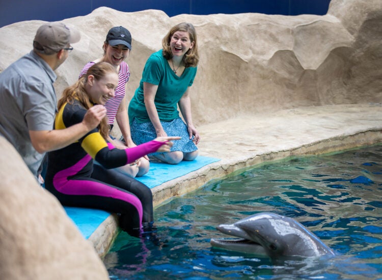 Dolphin Animal Encounter & Experience | Georgia Aquarium