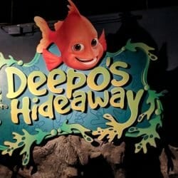 All Programs and Experiences - Georgia Aquarium - Downtown Atlanta