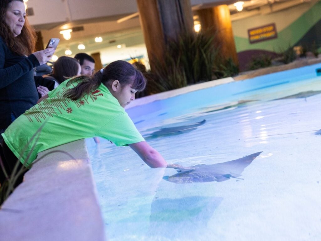 Georgia Aquarium General Admission Education | Georgia Aquarium