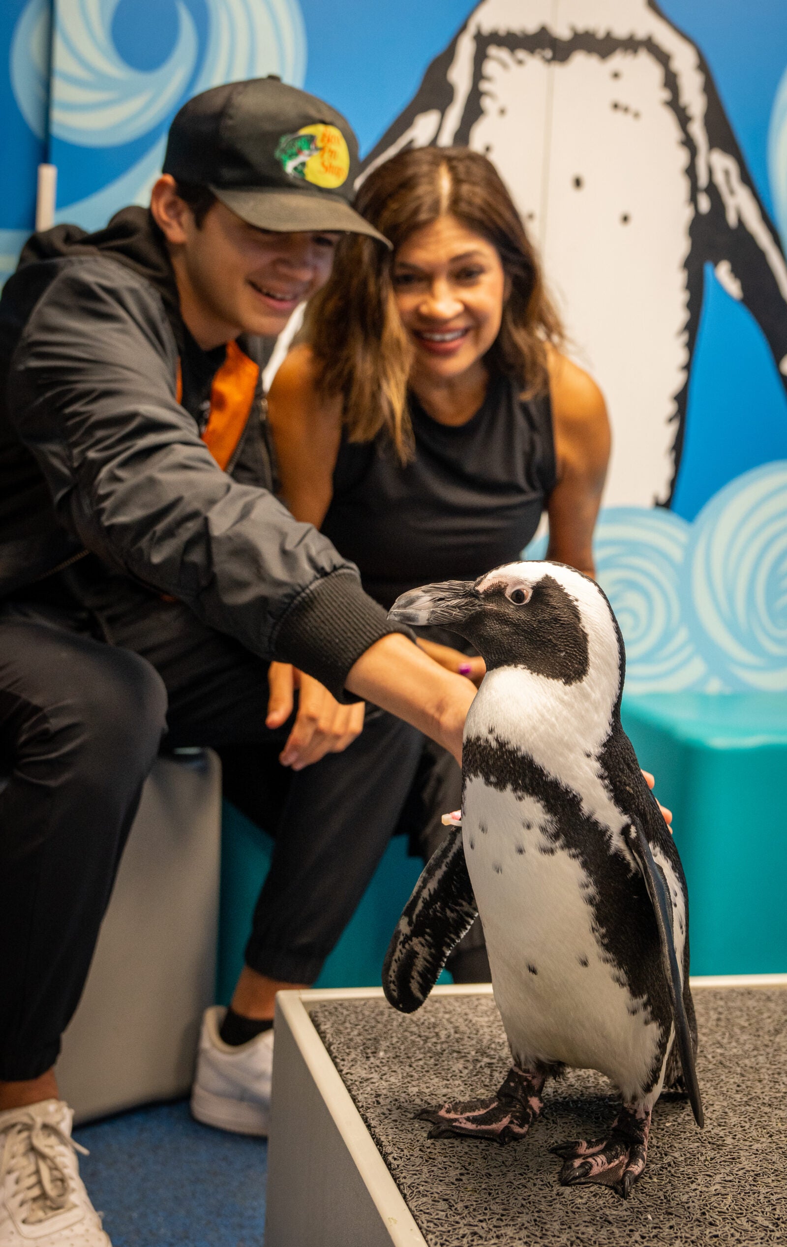 Penguin Animal Encounter & Experience | Georgia Aquarium