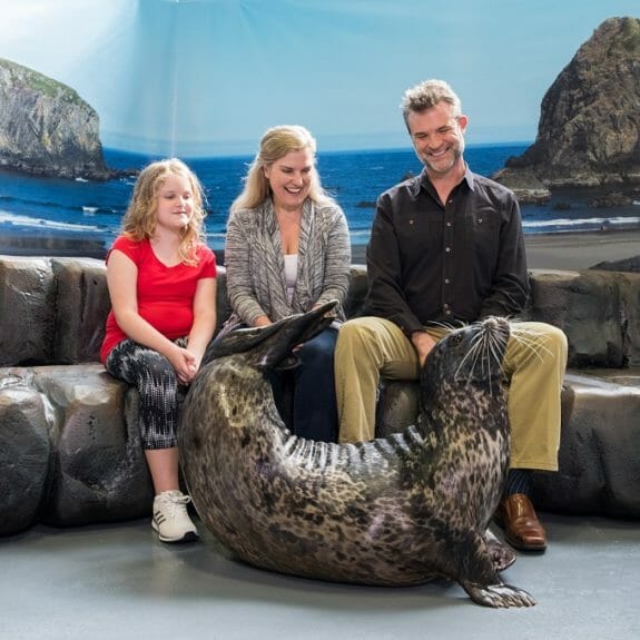 Animal Encounters - Georgia Aquarium