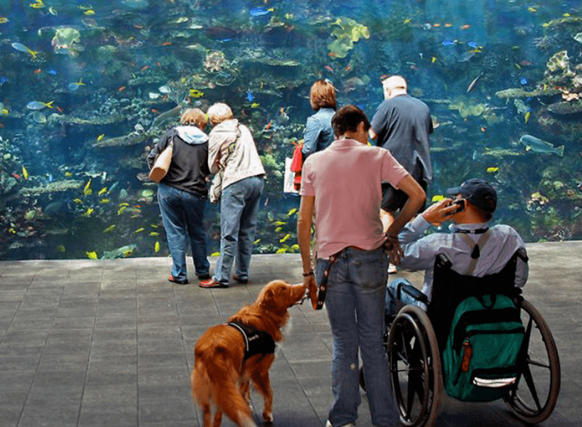 Georgia Aquarium Visitor Information | Georgia Aquarium