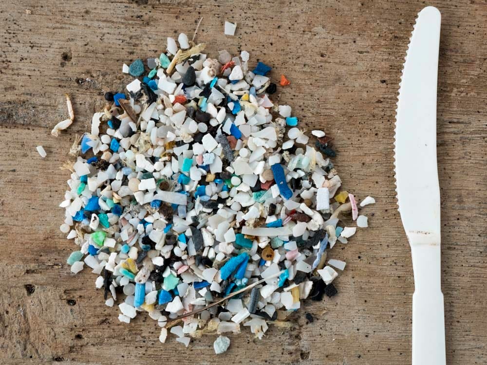 2018 Research and Conservation Newsletters - Georgia Aquarium