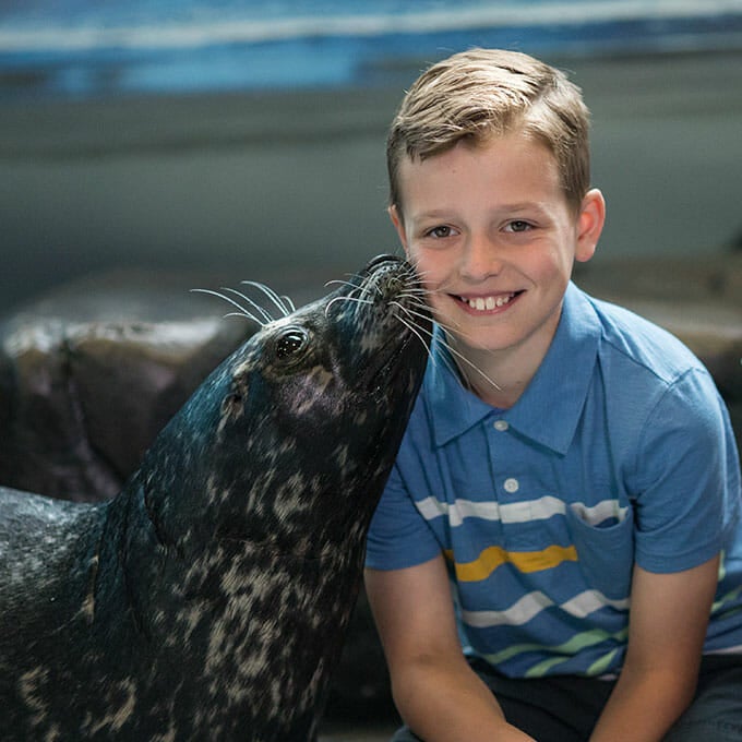 Animal Encounters - Georgia Aquarium