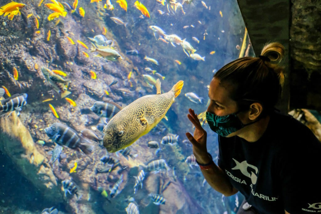 Georgia Aquarium and API Fish Care | Georgia Aquarium | Learn More