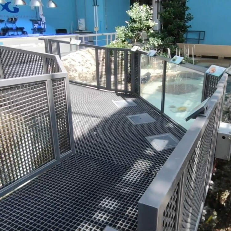 Behind the Seas Tour - Dive Deeper - Georgia Aquarium