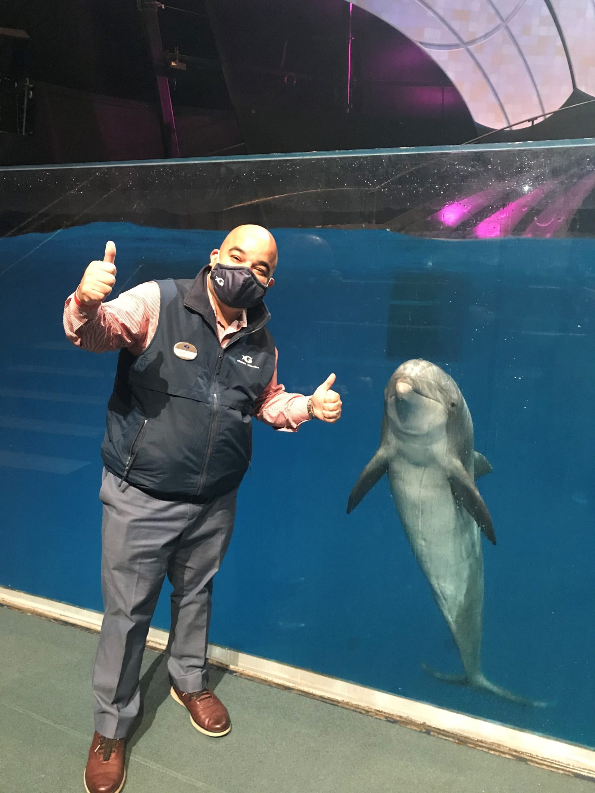 Own Your Dolphin Seat - Support Georgia Aquarium Education Programs
