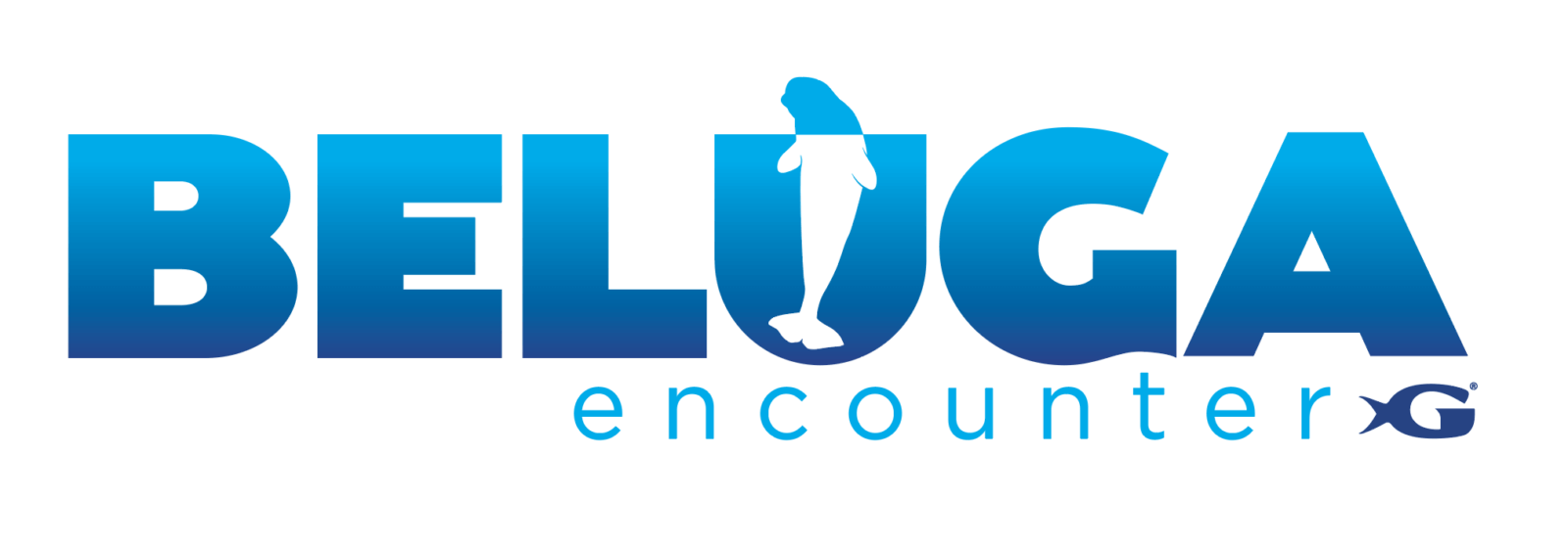 Beluga Whale | Animal Encounter & Experience | Georgia Aquarium