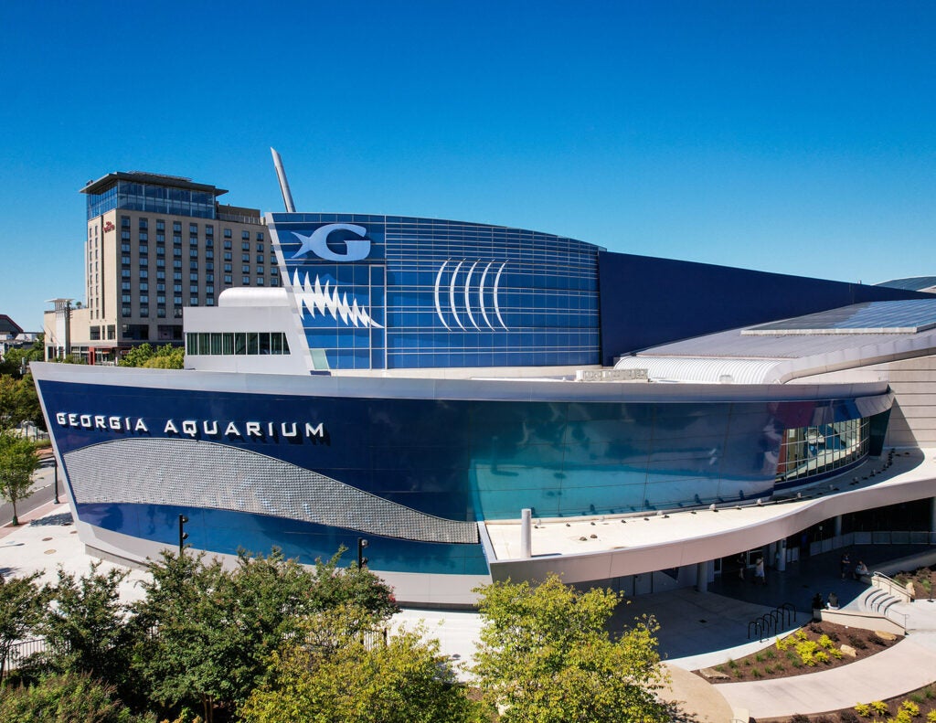Georgia Aquarium Receives Fourth Consecutive Accreditation from the ...