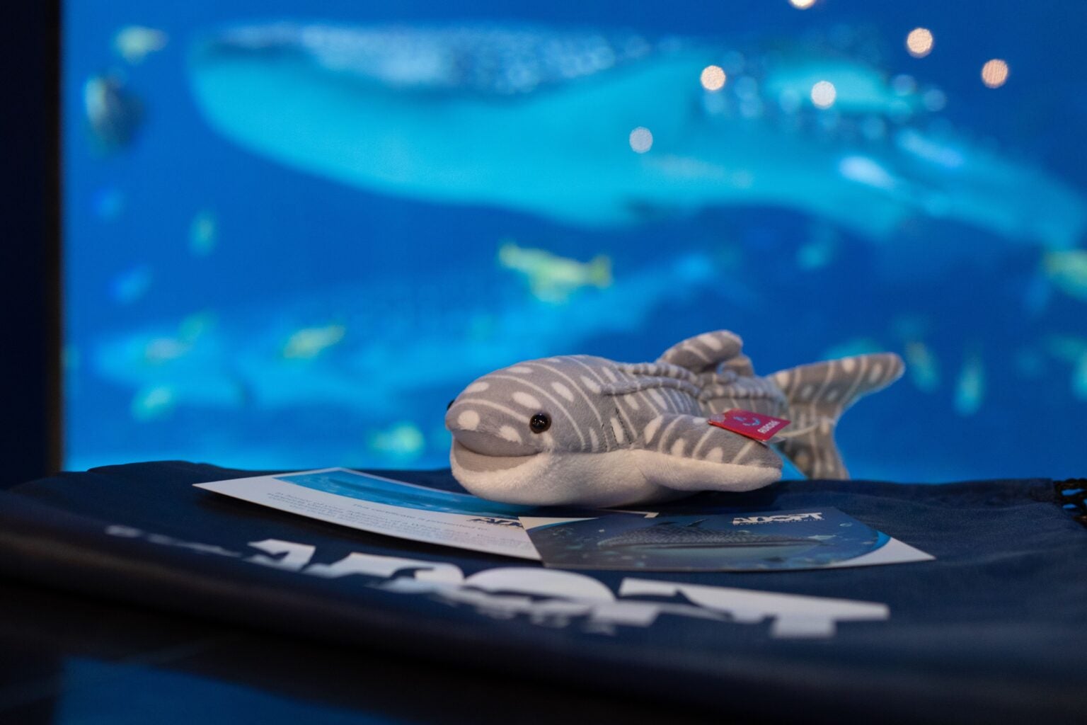 Adopt a Whale Shark - Georgia Aquarium