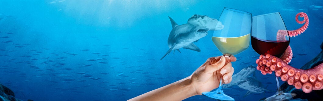 Georgia Aquarium Visit Today | Georgia Aquarium in Downtown Atlanta