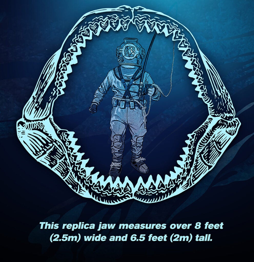 The Megalodon Shark - Georgia Aquarium