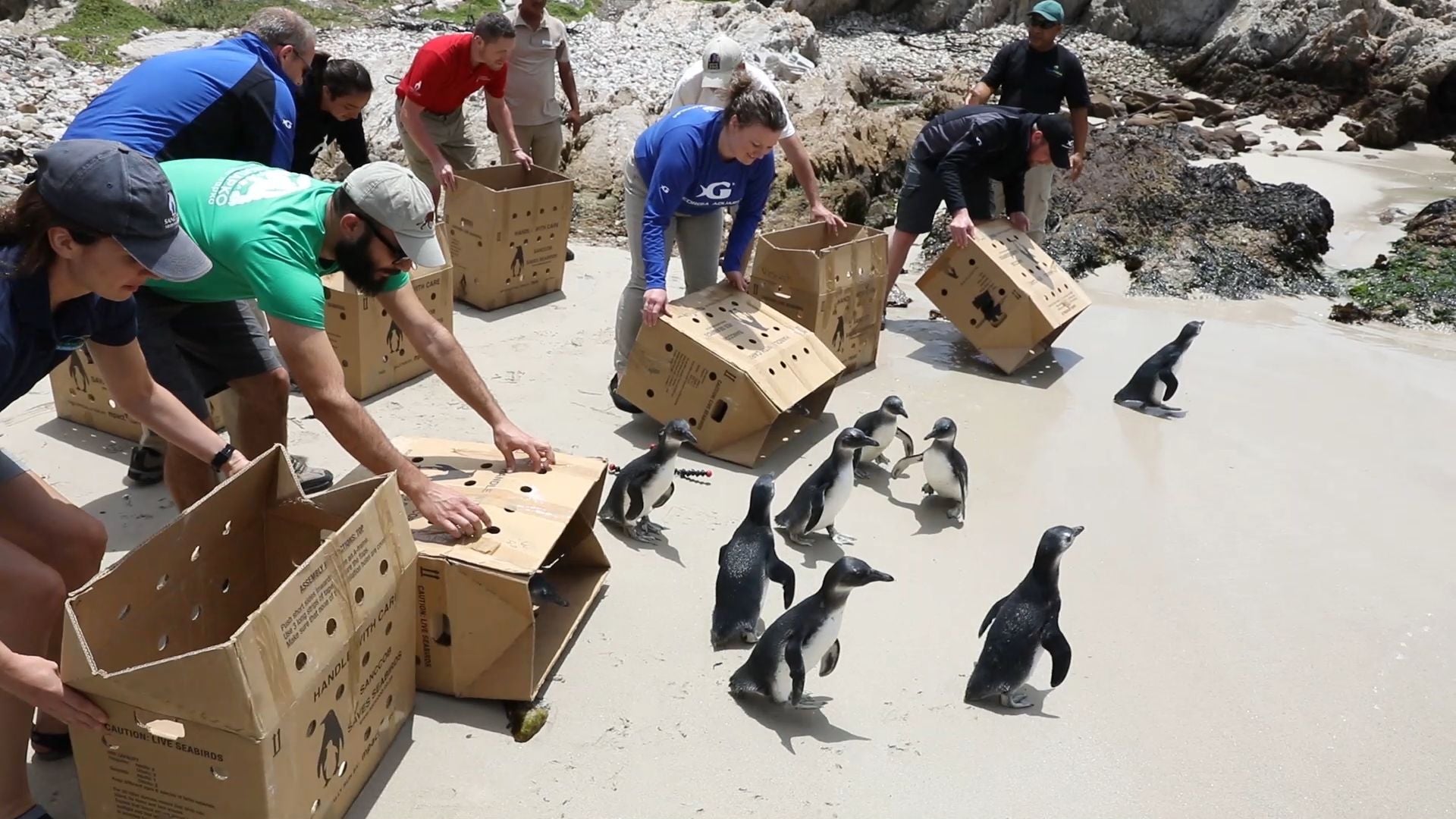 Research and Conservation Overview - Georgia Aquarium