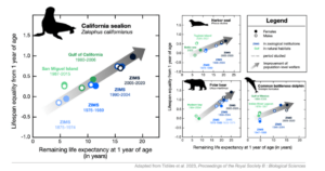 Marine Mammal Longevity Study Reveals Remarkable Advances in Animal ...