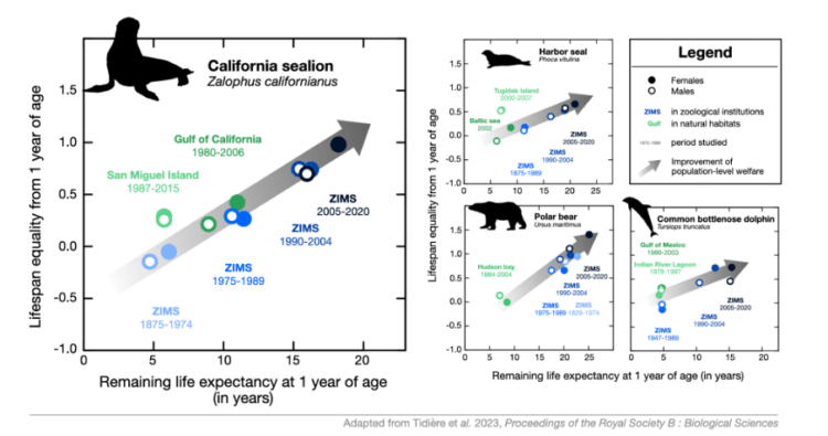 Marine Mammal Longevity Study Reveals Remarkable Advances in Animal ...