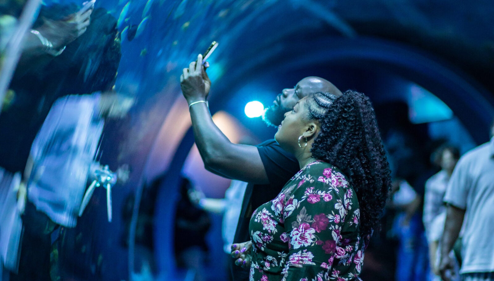 Spring Break in Atlanta: 5 Unmissable Experiences - Georgia Aquarium