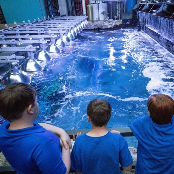 Georgia Aquarium General Admission Education | Georgia Aquarium