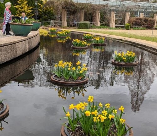 Spring Break in Atlanta: 5 Unmissable Experiences - Georgia Aquarium