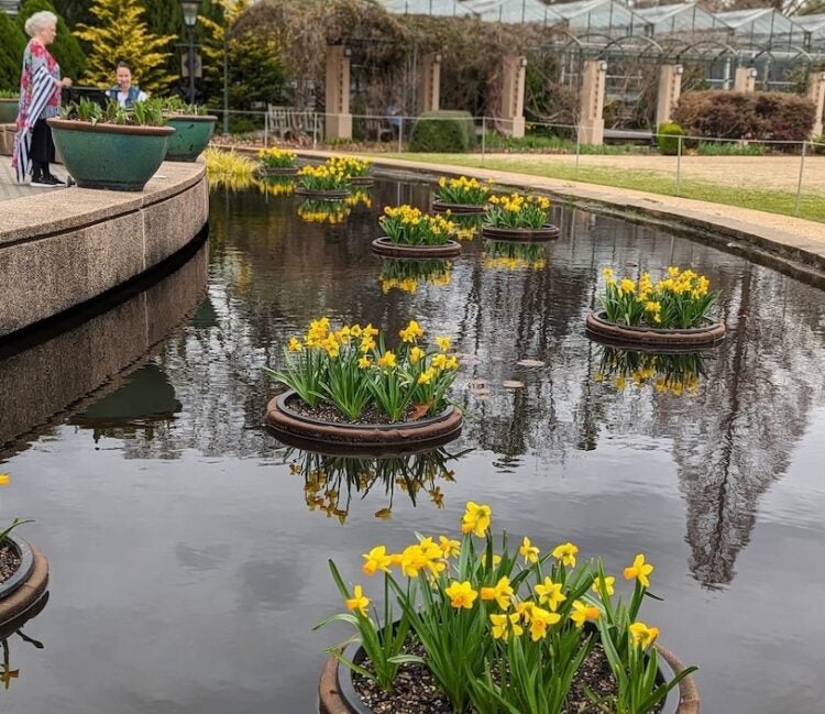 Spring Break in Atlanta: 5 Unmissable Experiences - Georgia Aquarium