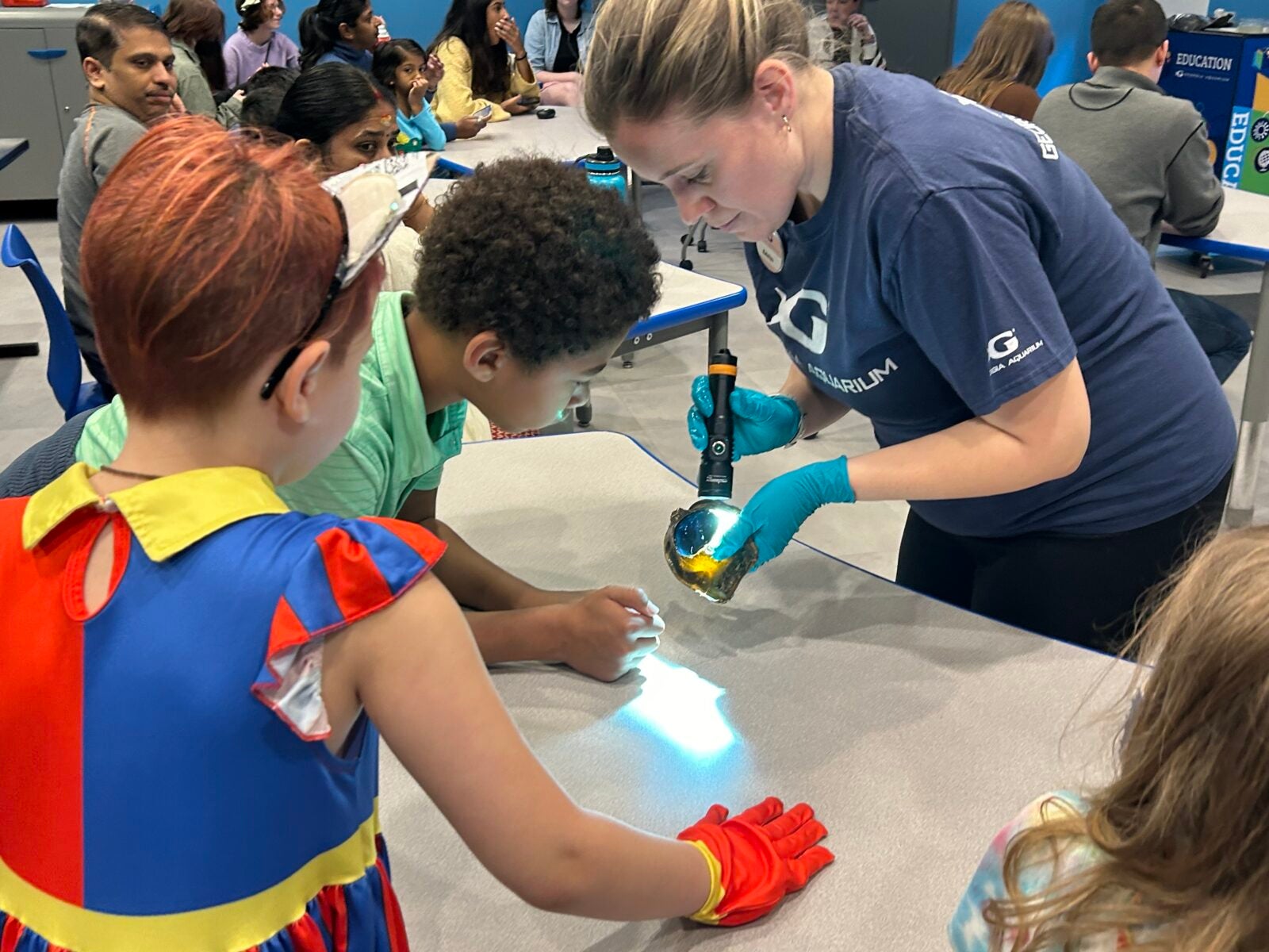 Spring Break in Atlanta: 5 Unmissable Experiences - Georgia Aquarium