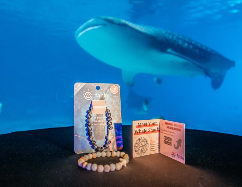 Fahlo Partnership - Georgia Aquarium