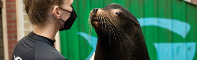 Presentation Reservation - Georgia Aquarium