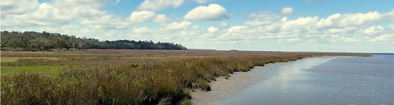 NOAA Ocean Guardian School - Georgia Aquarium