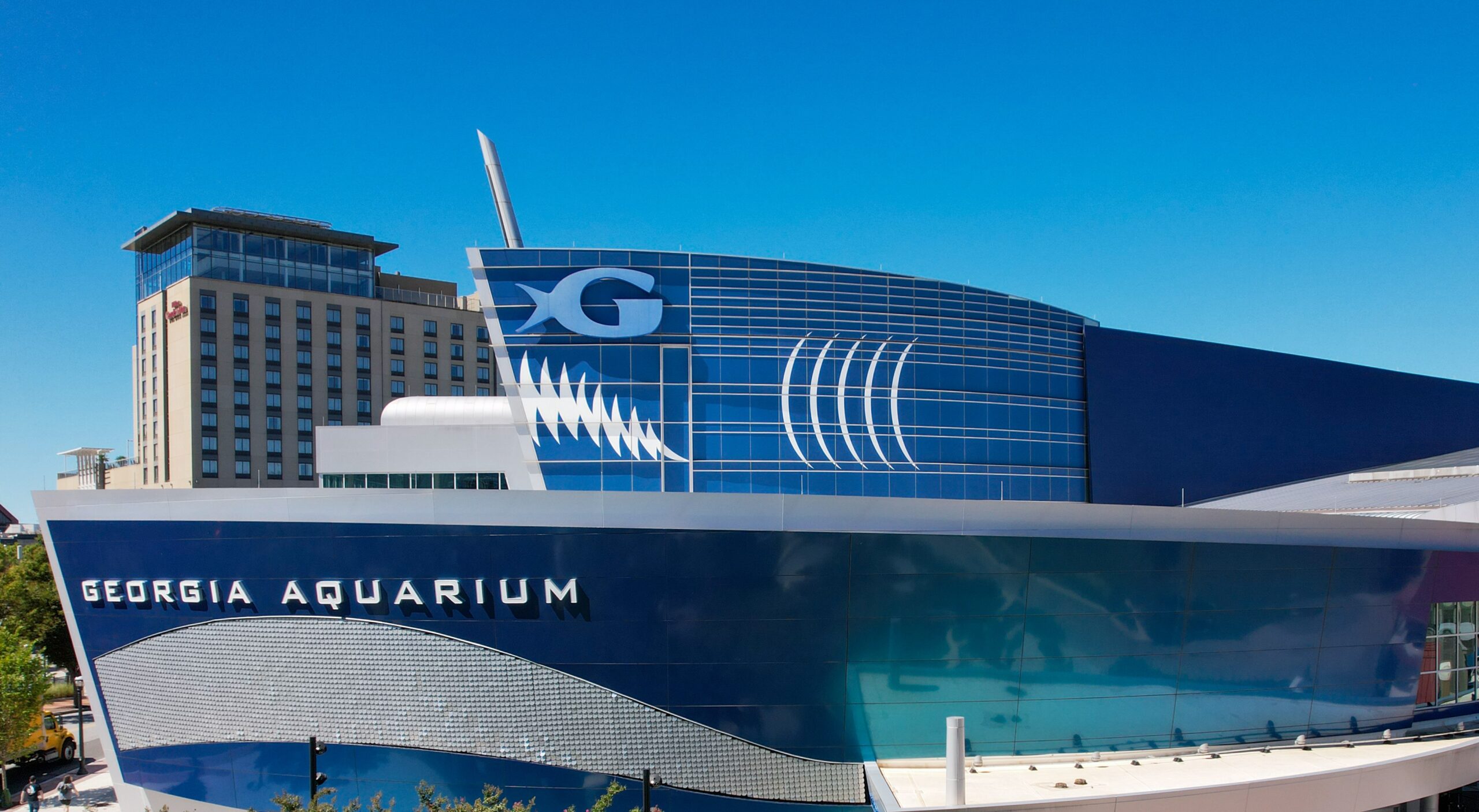 Honoring Bernie Marcus’s Legacy - Georgia Aquarium