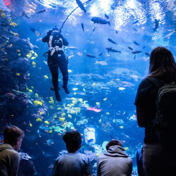 Aqua Pass - Georgia Aquarium