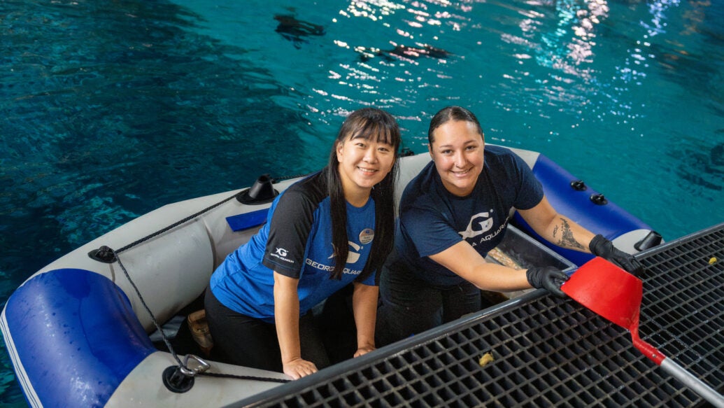 Tracking Sharks and Rays: A Collaborative Dive into Marine Research ...