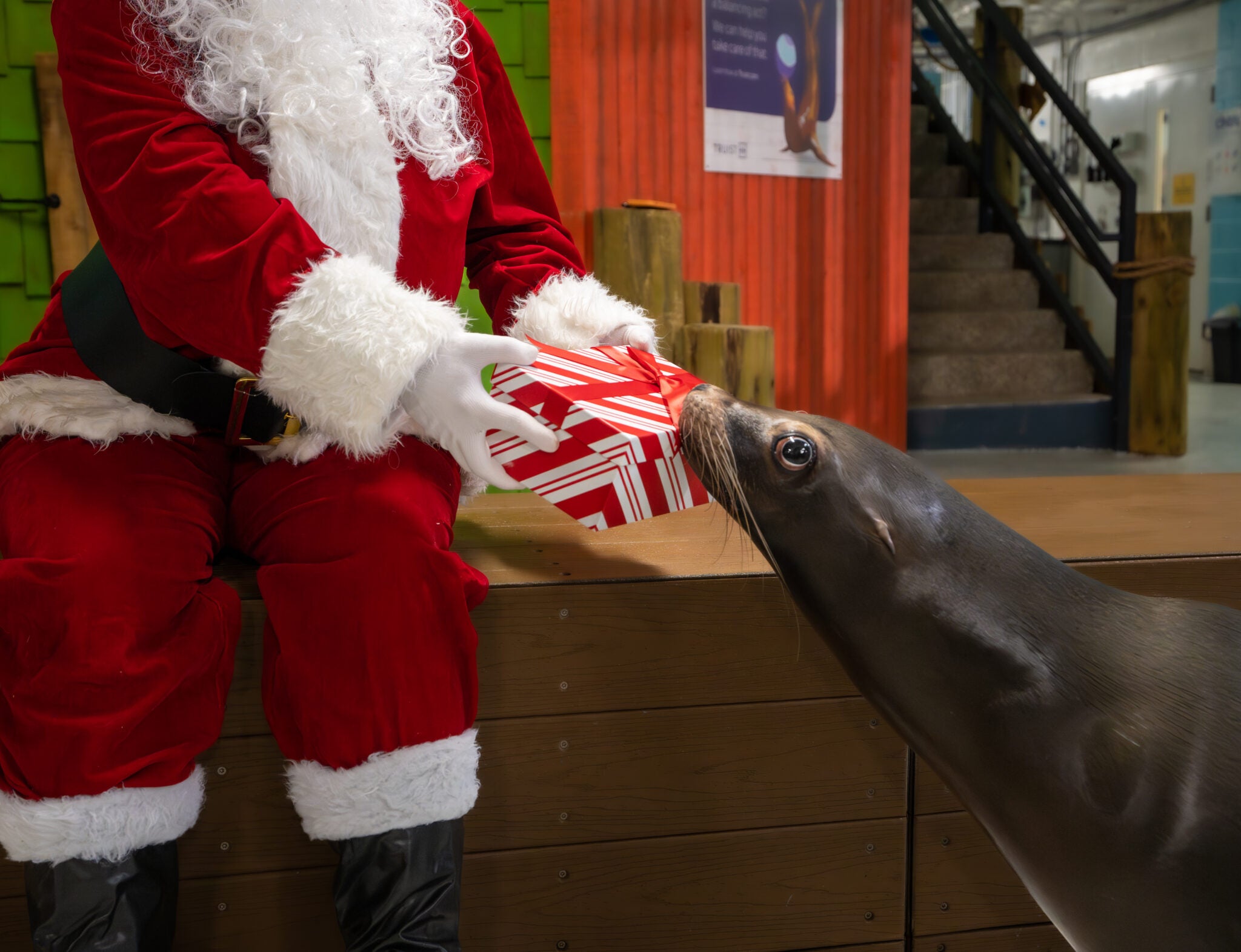 Resource Center - Georgia Aquarium