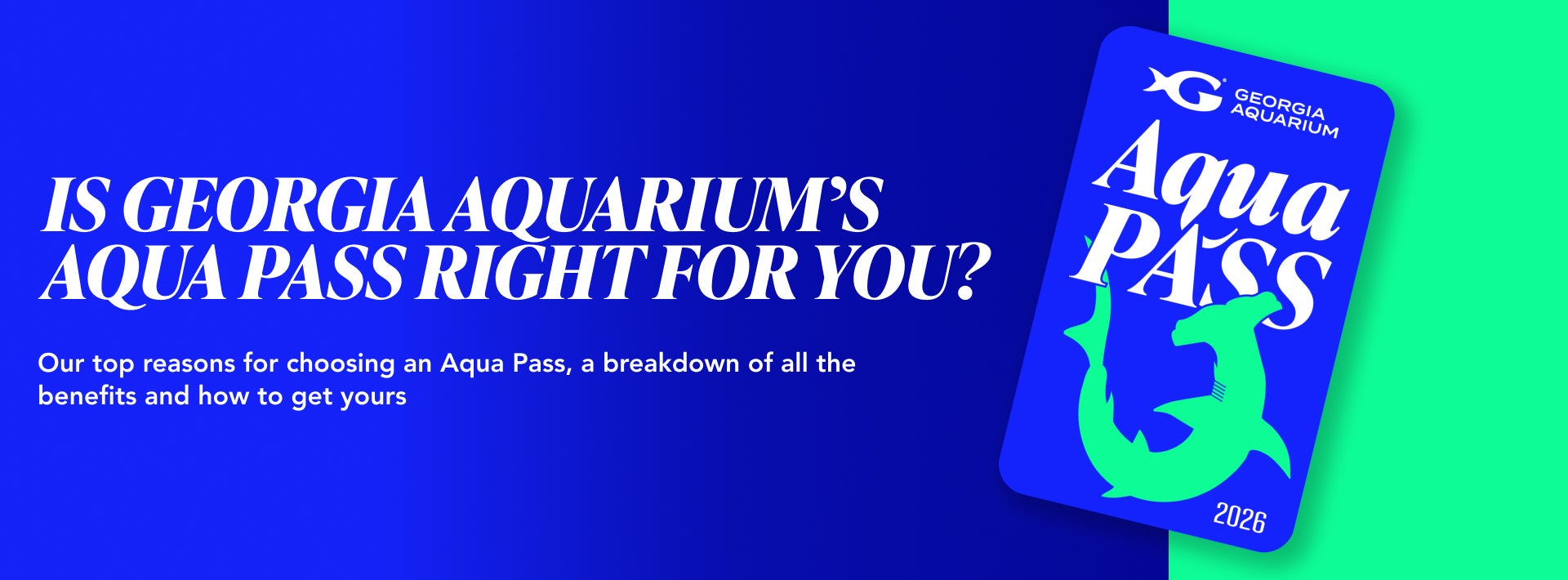 Is Georgia Aquarium’s Aqua Pass Right for You?
