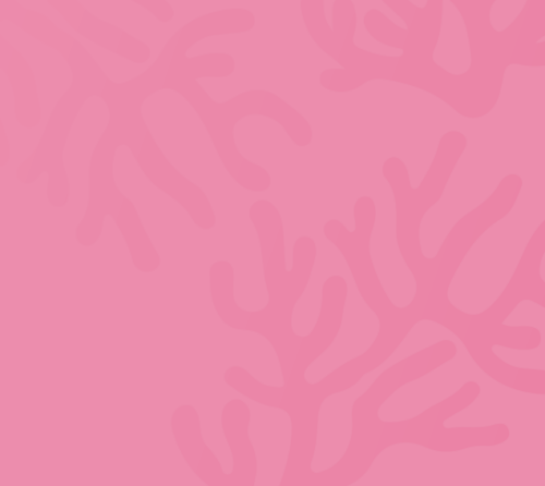 Giant Grouper - Georgia Aquarium