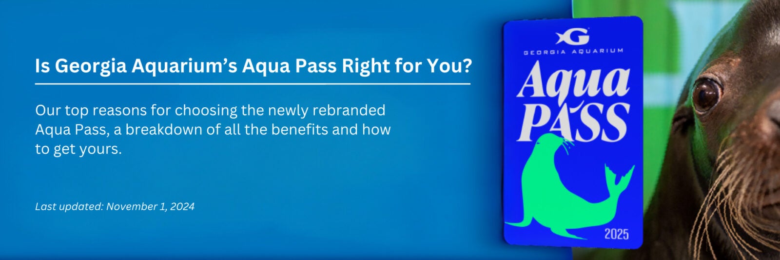 Is Georgia Aquarium’s Aqua Pass Right for You?