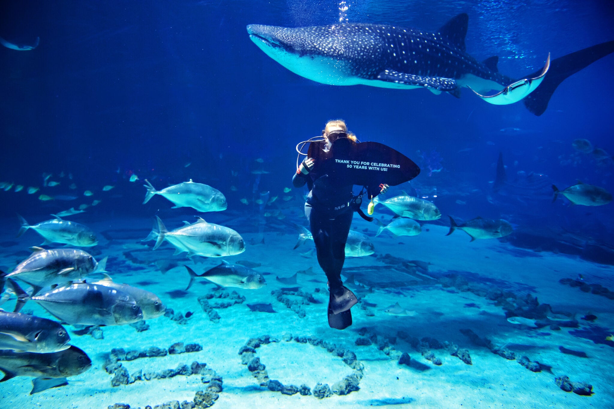 Host an Event - Georgia Aquarium