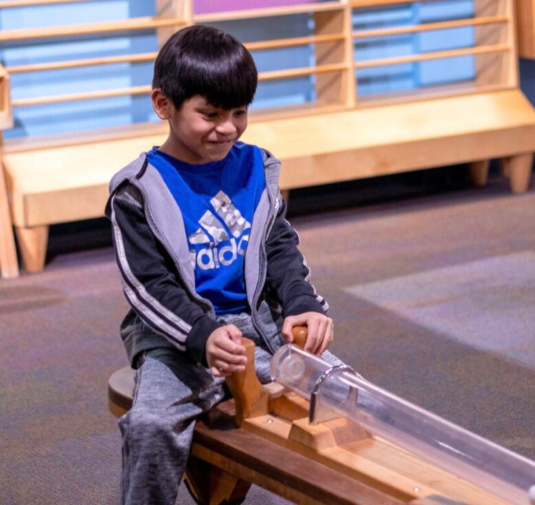 Spring Break in Atlanta: Must-Do Activities - Georgia Aquarium