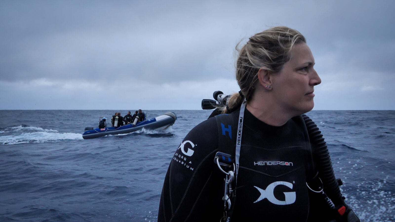 The Secret Journeys of Giant Tiger Sharks - Georgia Aquarium