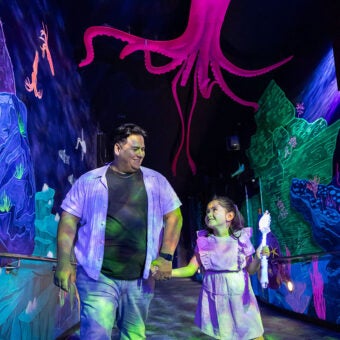 Glow Nights at Georgia Aquarium - Nightly Summer Fun in Atlanta