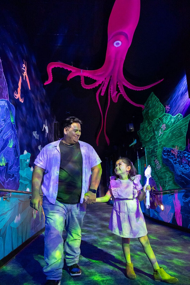 Glow Nights at Georgia Aquarium - Nightly Summer Fun in Atlanta