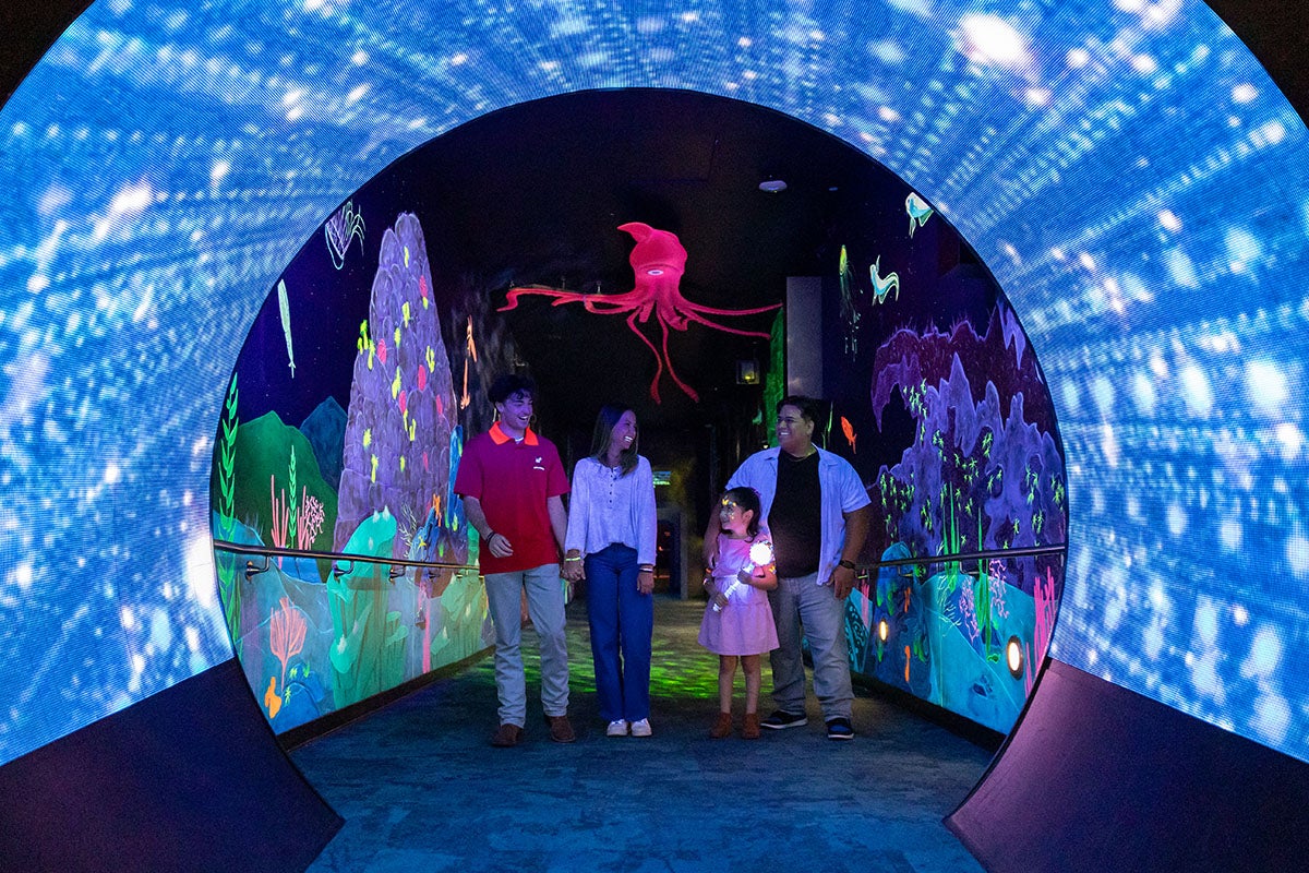Glow Nights at Georgia Aquarium - Nightly Summer Fun in Atlanta