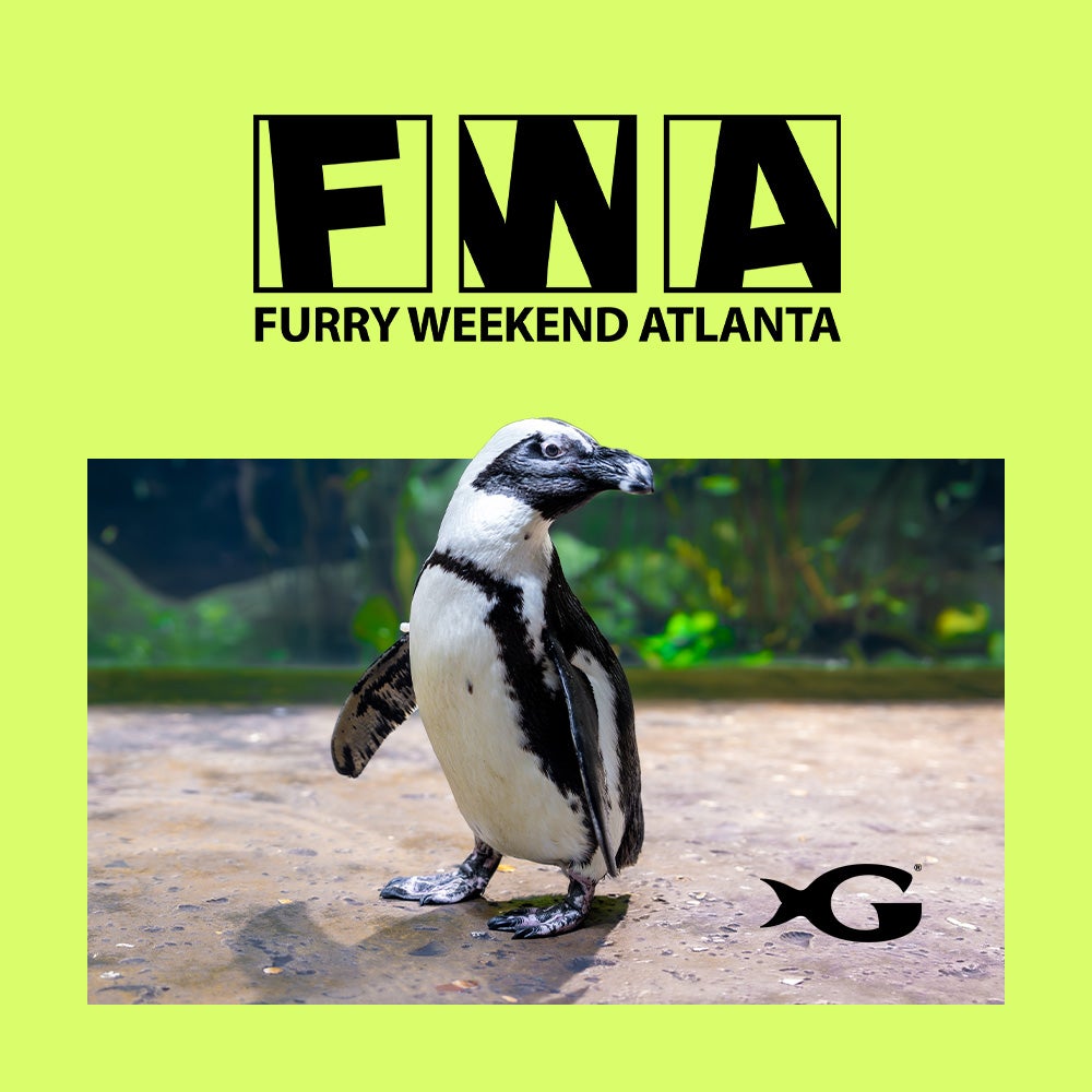 FWA Takeover at Georgia Aquarium | May 7, 2026 | Georgia Aquarium