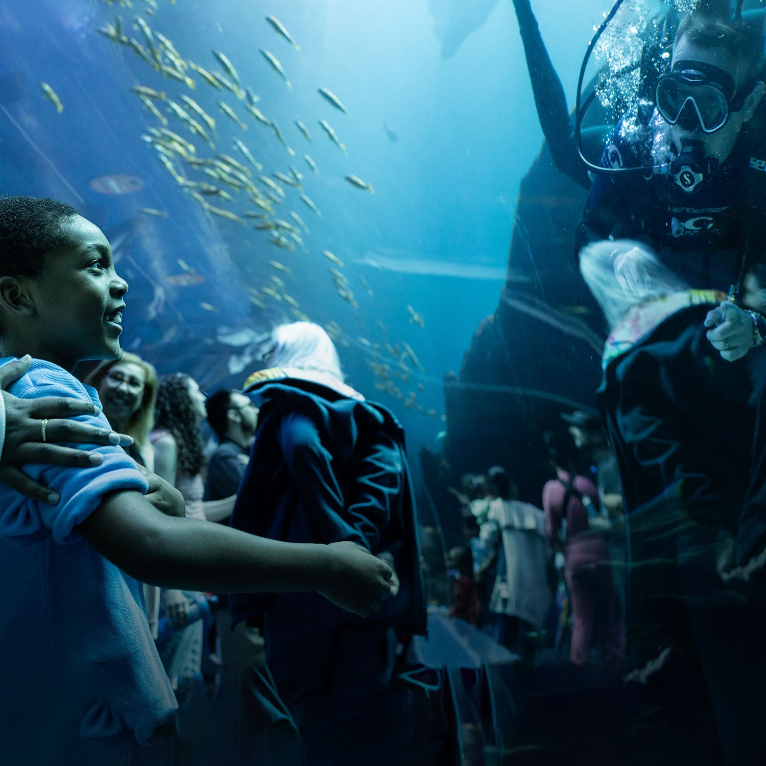 Georgia Aquarium General Admission Education | Georgia Aquarium