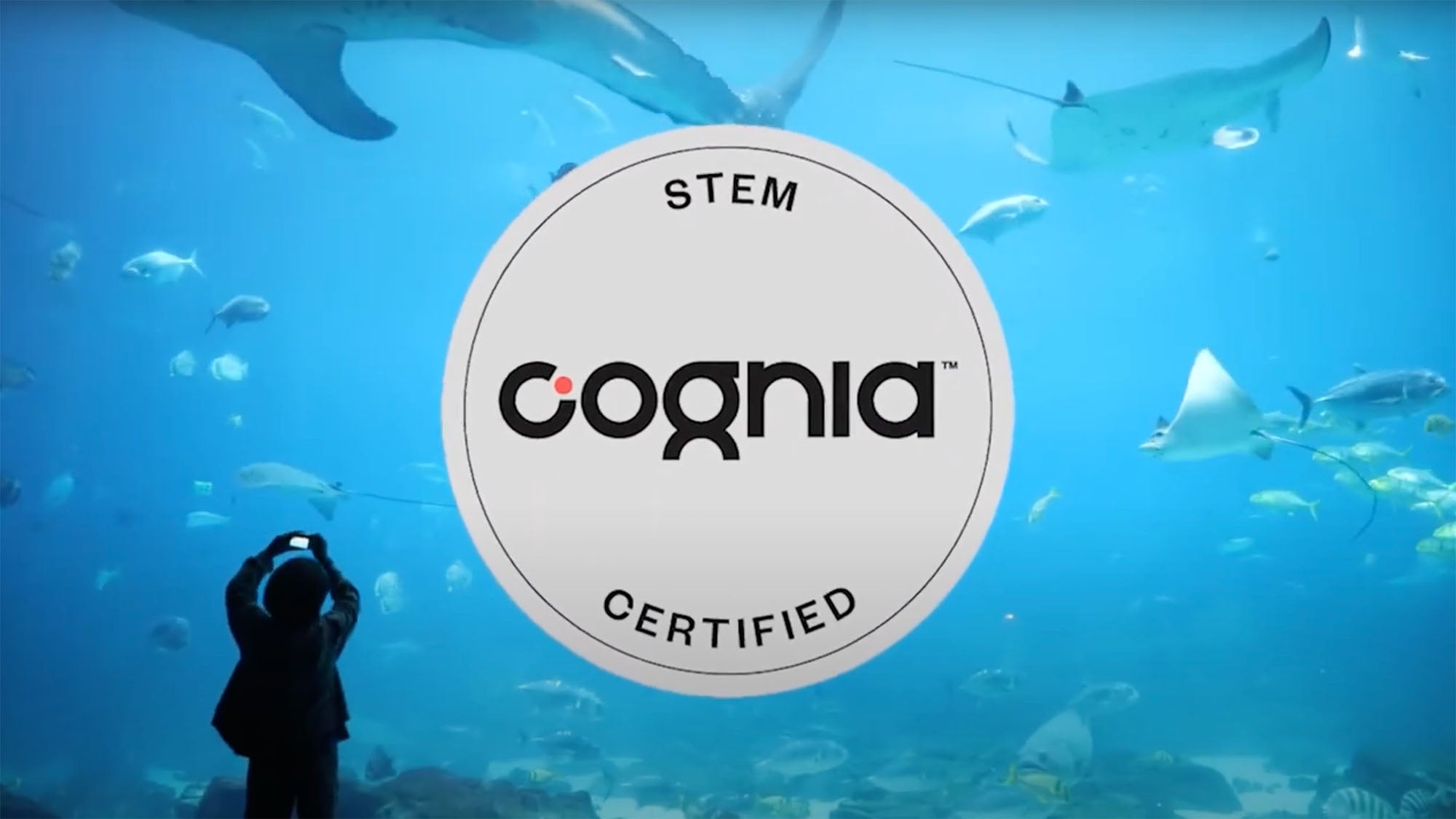 Georgia Aquarium | Virtual Programs