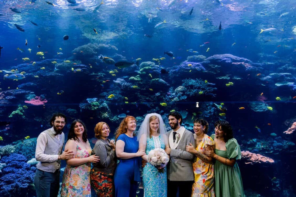 Twenty Years Of Guest Experiences - Georgia Aquarium