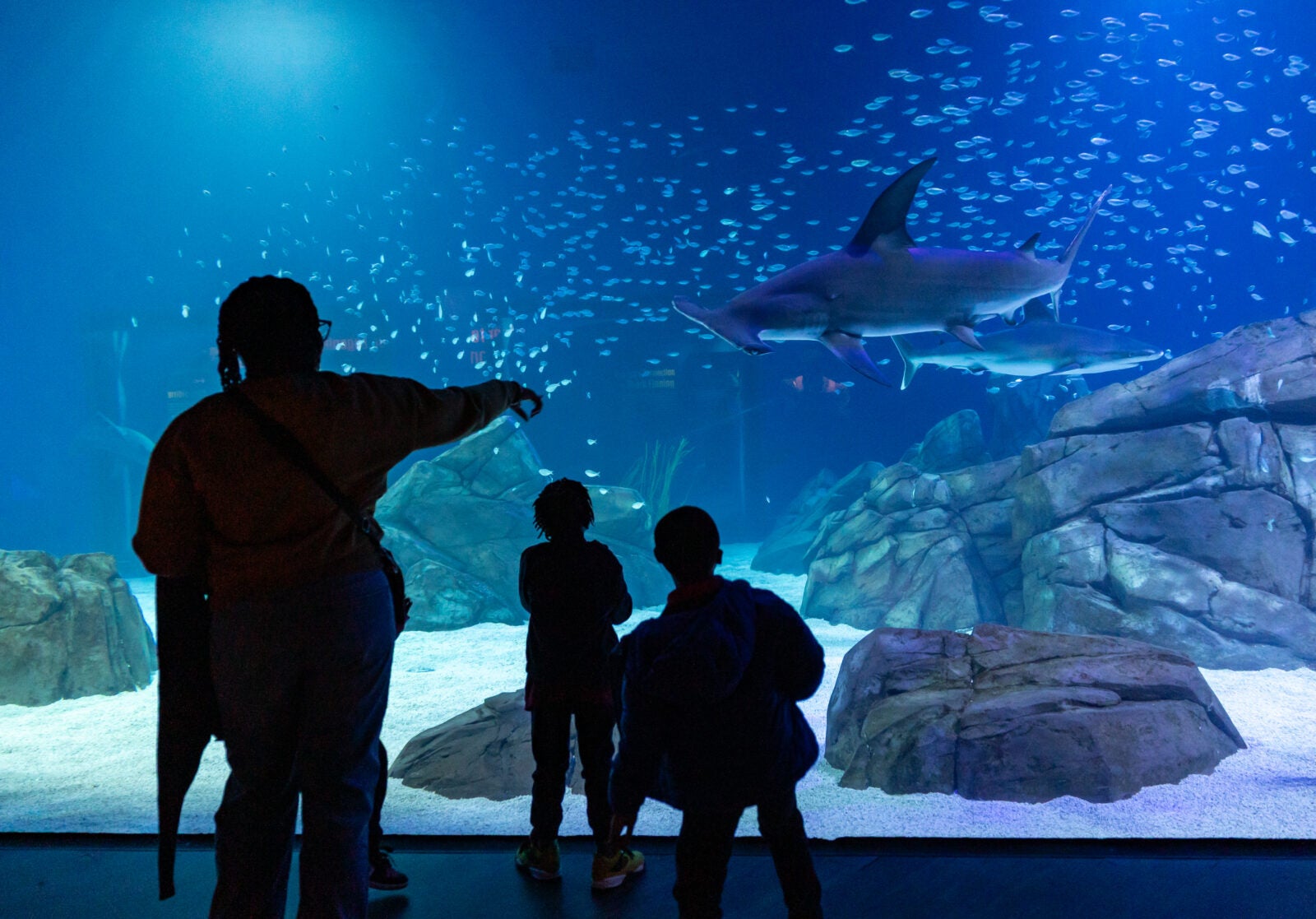 Family-Friendly Guide to February Winter Break