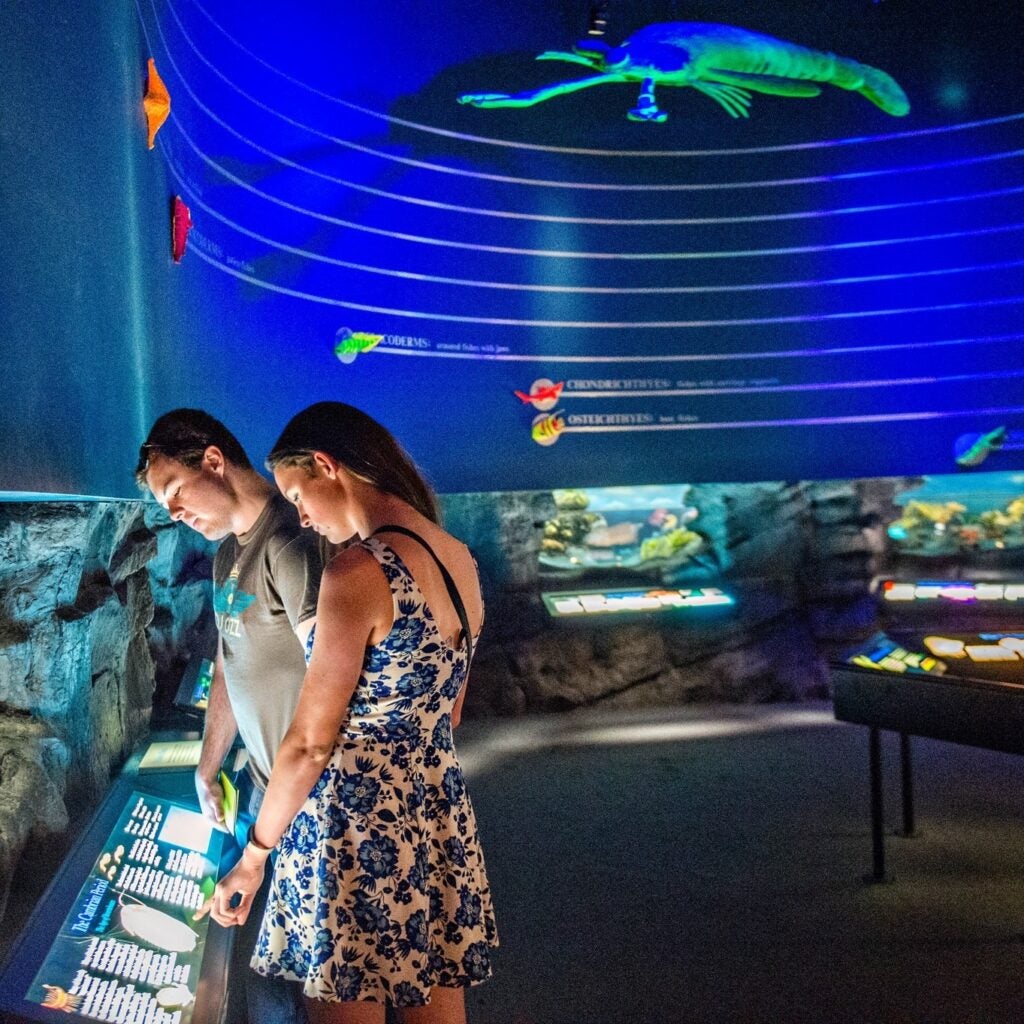 Make a Splash with These Unique Date Ideas in Atlanta - Georgia Aquarium