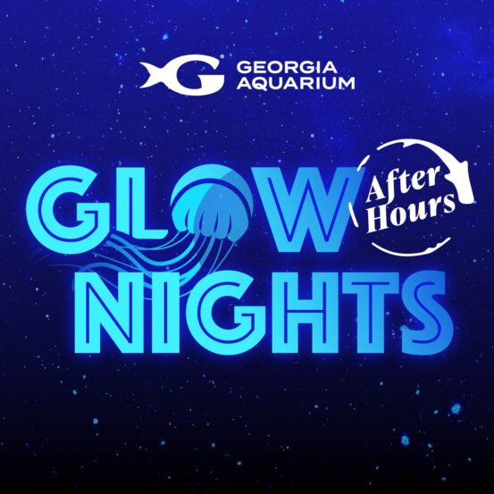 Glow Nights After Hours | July 10, 2026 | Georgia Aquarium